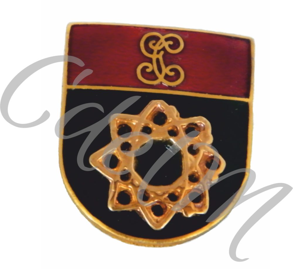 DISTINTIVO TITULO INFORMATICA 1 | CONDECORACIONES DEL MAR